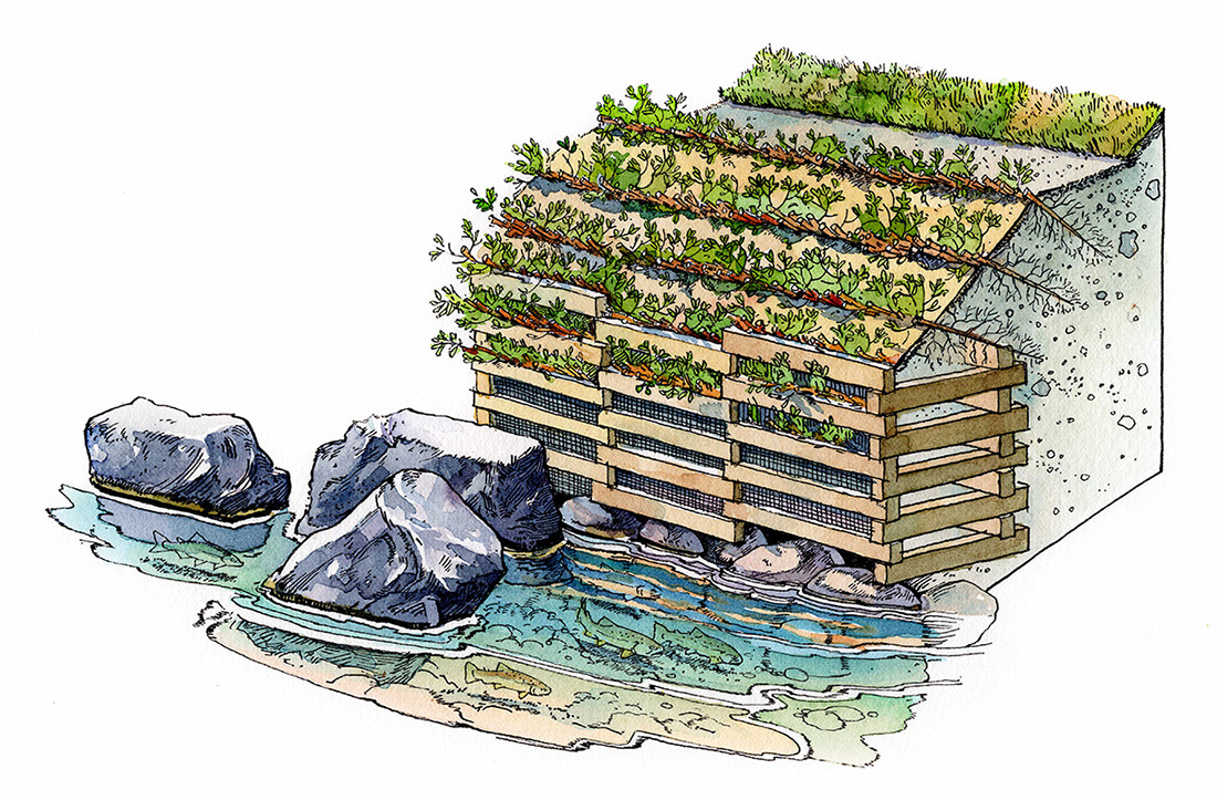 Bioengineering Demonstration and Education Project