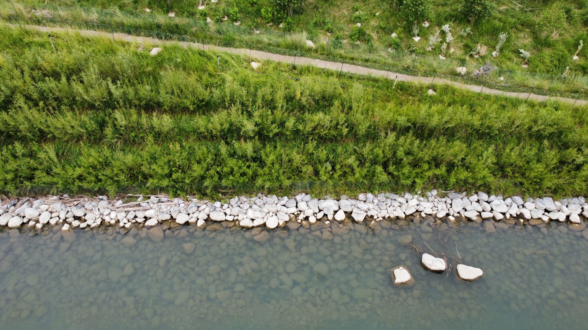 Bioengineering Demonstration and Education Project